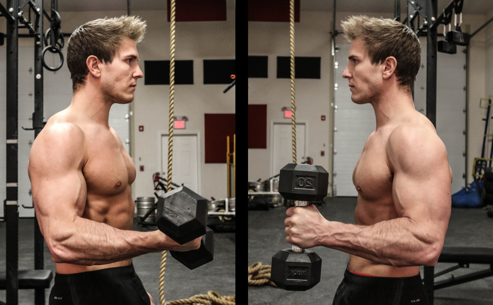 Hammer Curls Vs Bicep Curls Is One Better Than The Other 