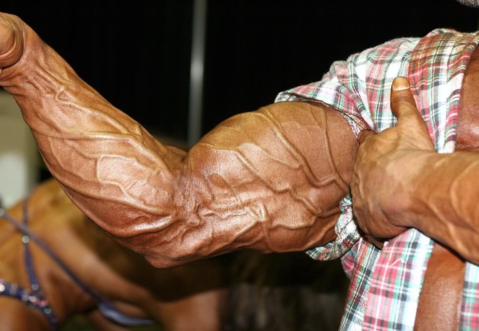 How To Become More Vascular The Ultimate Guide To Ripped Veins How To Become More Vascular The Ultimate Guide To Ripped Veins