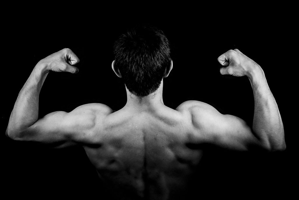 Lumberjack Press- How-To and Shoulder Muscle Benefits