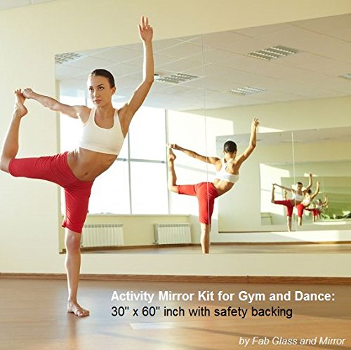 The Best Gym Mirrors For Your Money The Best Gym Mirrors in 2021